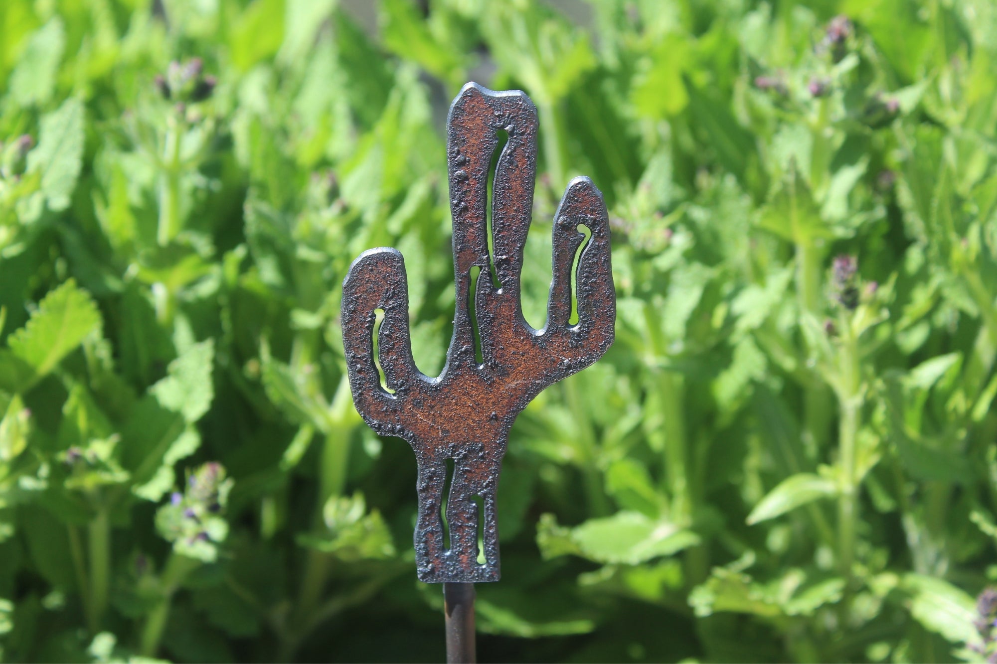 Saguaro Cactus Southwest Metal Plant Stake – Inspired by the Outdoors